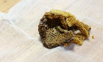 Steps for Successfully Filtering Beeswax - Backyard Beekeeping